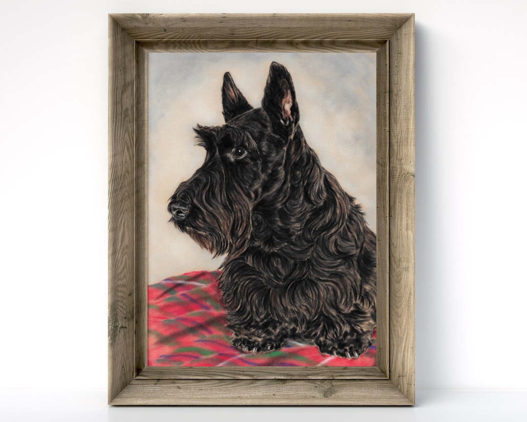 Scottie Dog Art - Scottish Terrier Print - Scottie Dog Gifts - Black ...