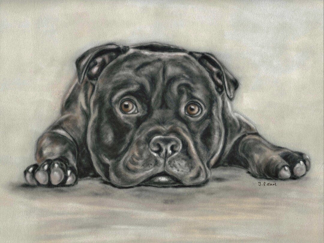 Staffordshire Bull Terrier - Staffy Print - Staffy Gifts - Staffy Wall ...