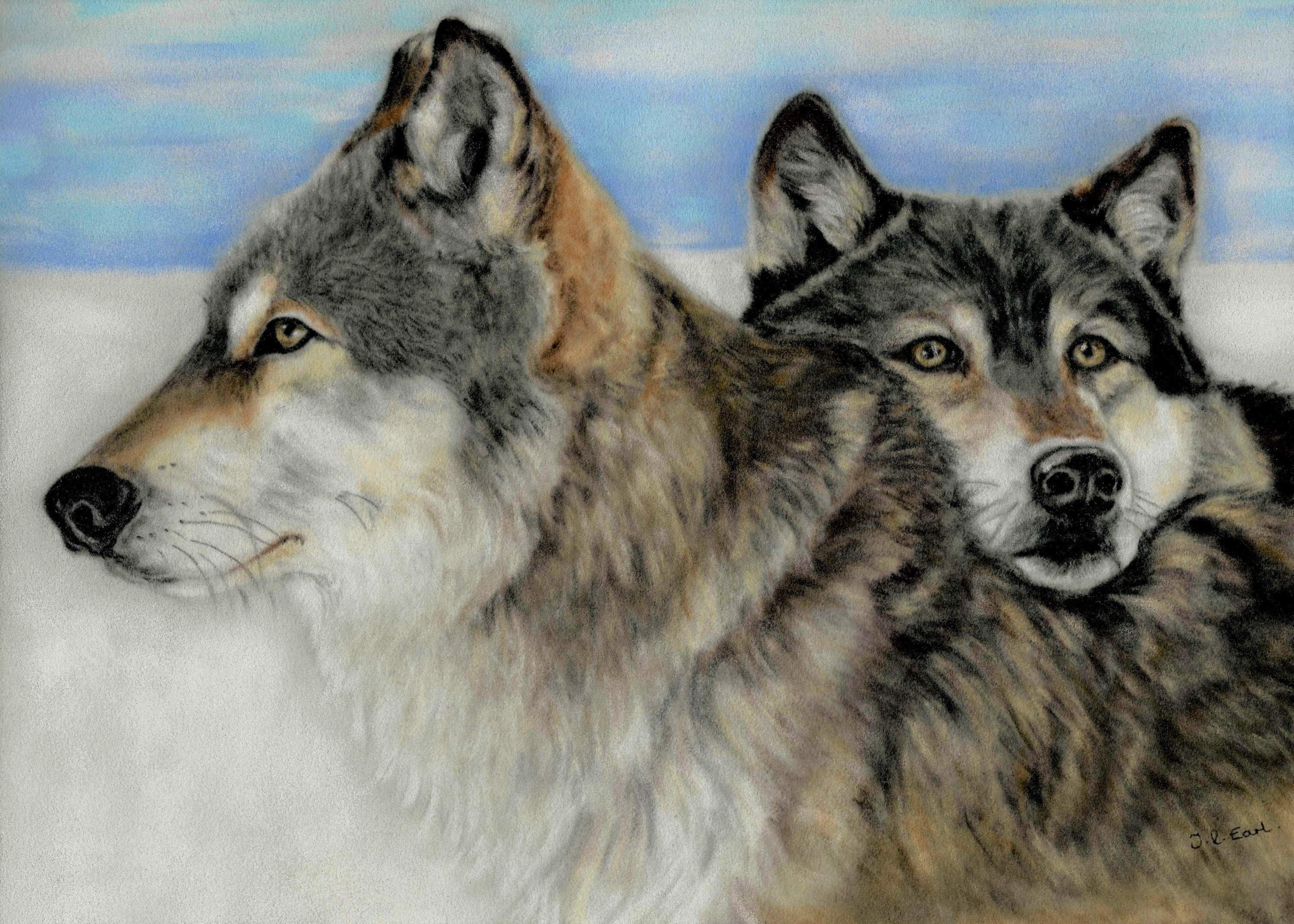 Wolf Print Wolf Painting Wolf Gift Wolf Picture Wolves - Etsy