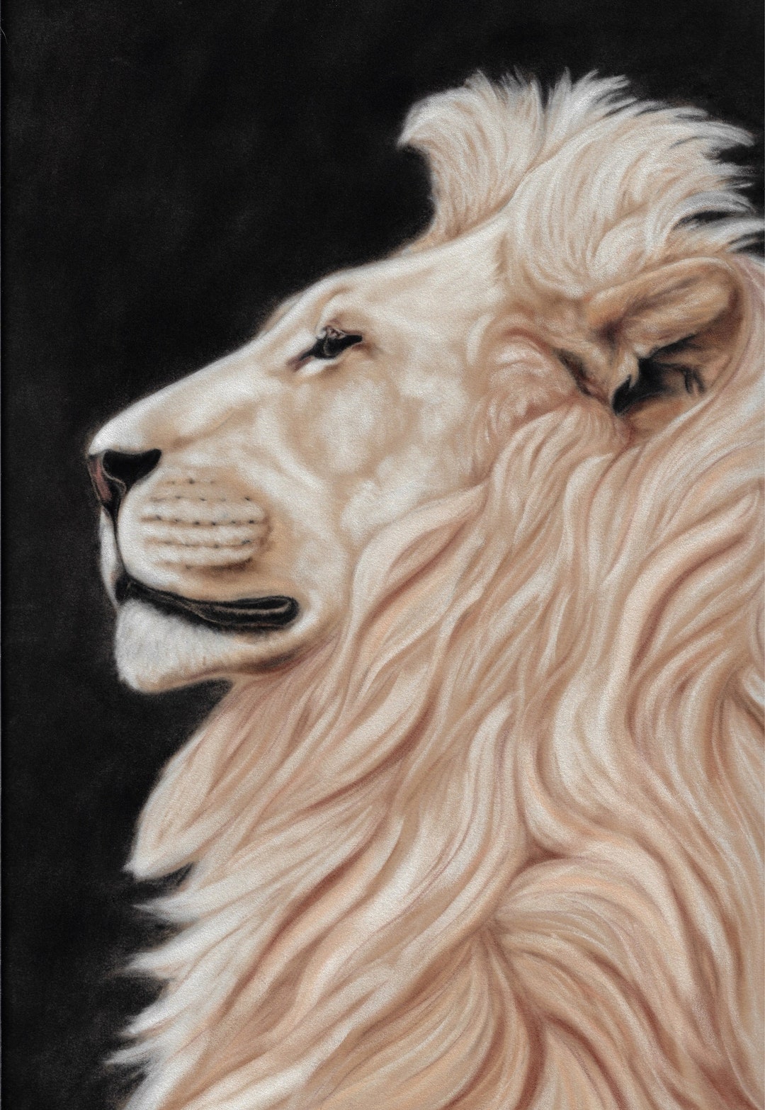 Original Art Print - White Lion - Lion Head Painting - Lion Art ...