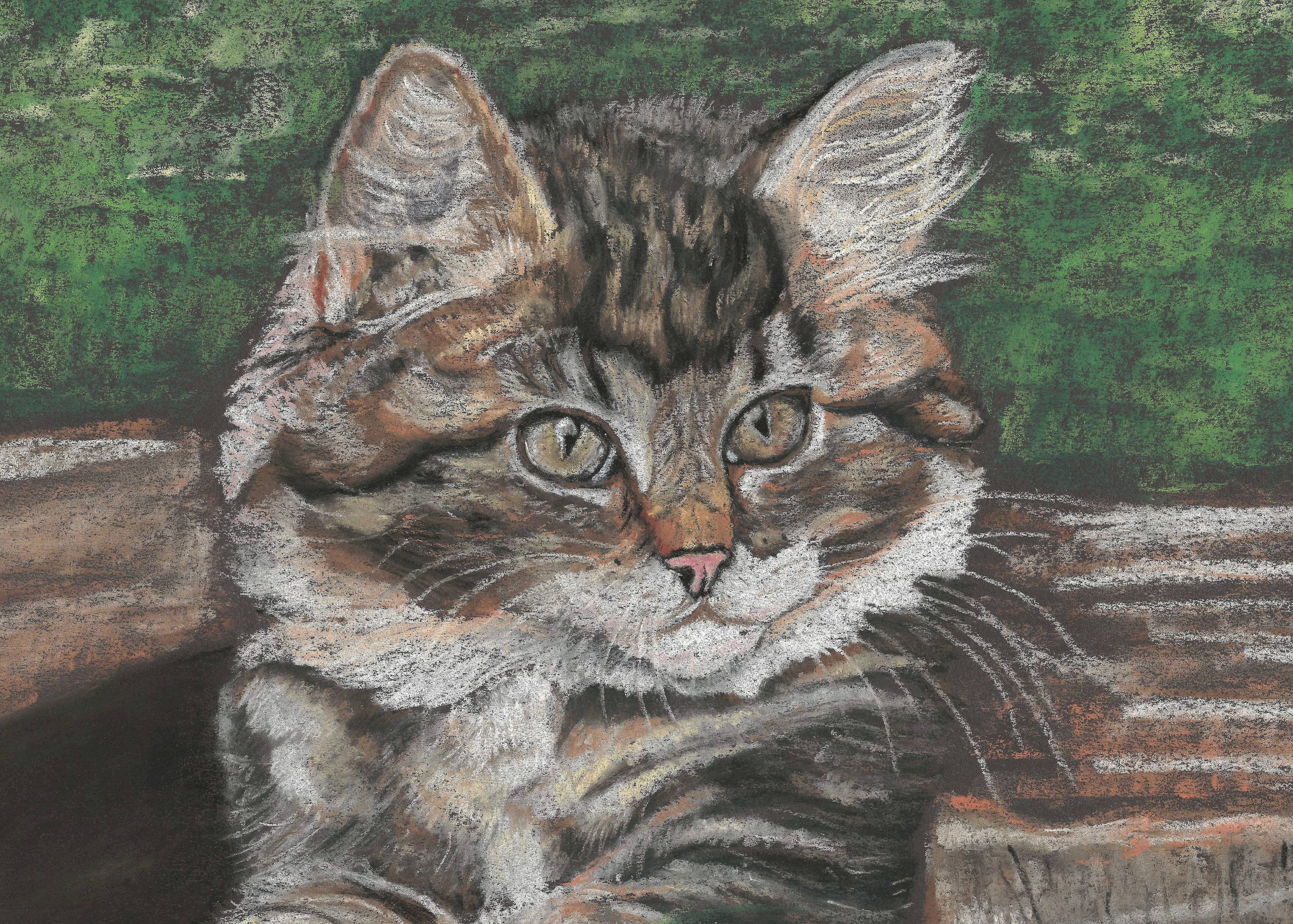 Tabby Cat Tabby Cat Art Print Cat Painting Cat Print - Etsy