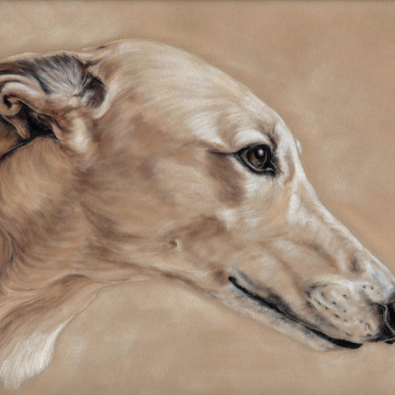 Greyhound Painting - Etsy