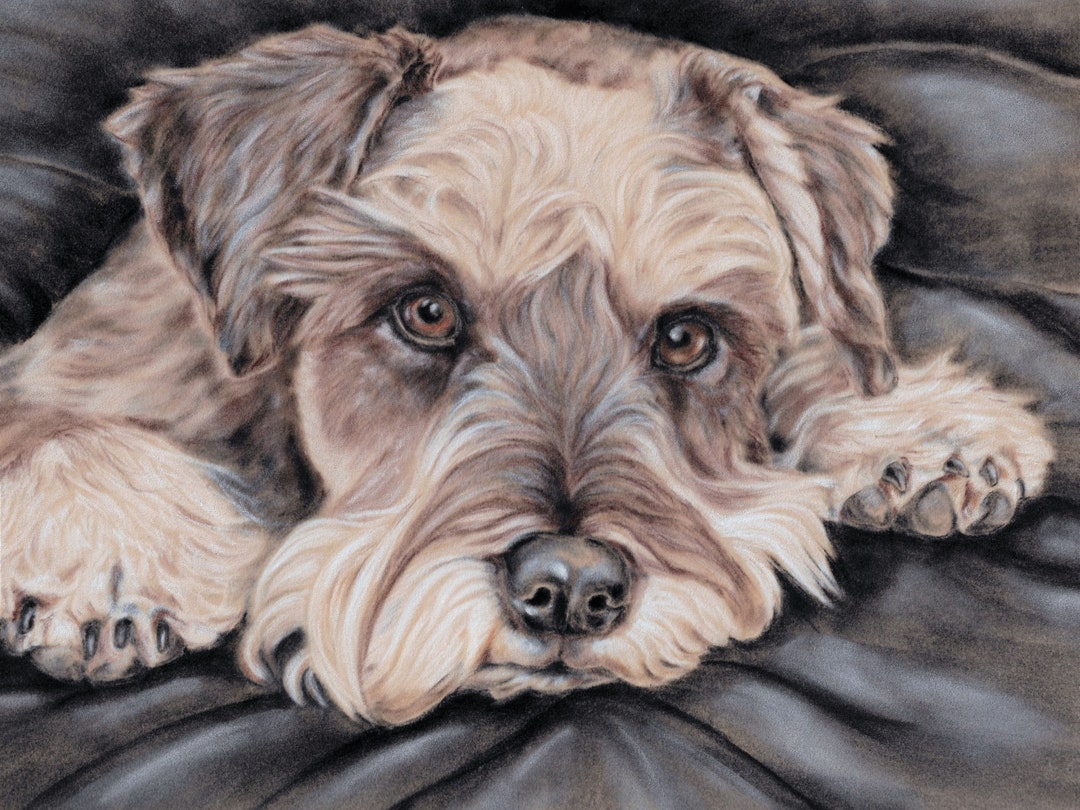 Schnauzer Art - Dog Wall Art - Original Art Print - Miniature Schnauzer ...