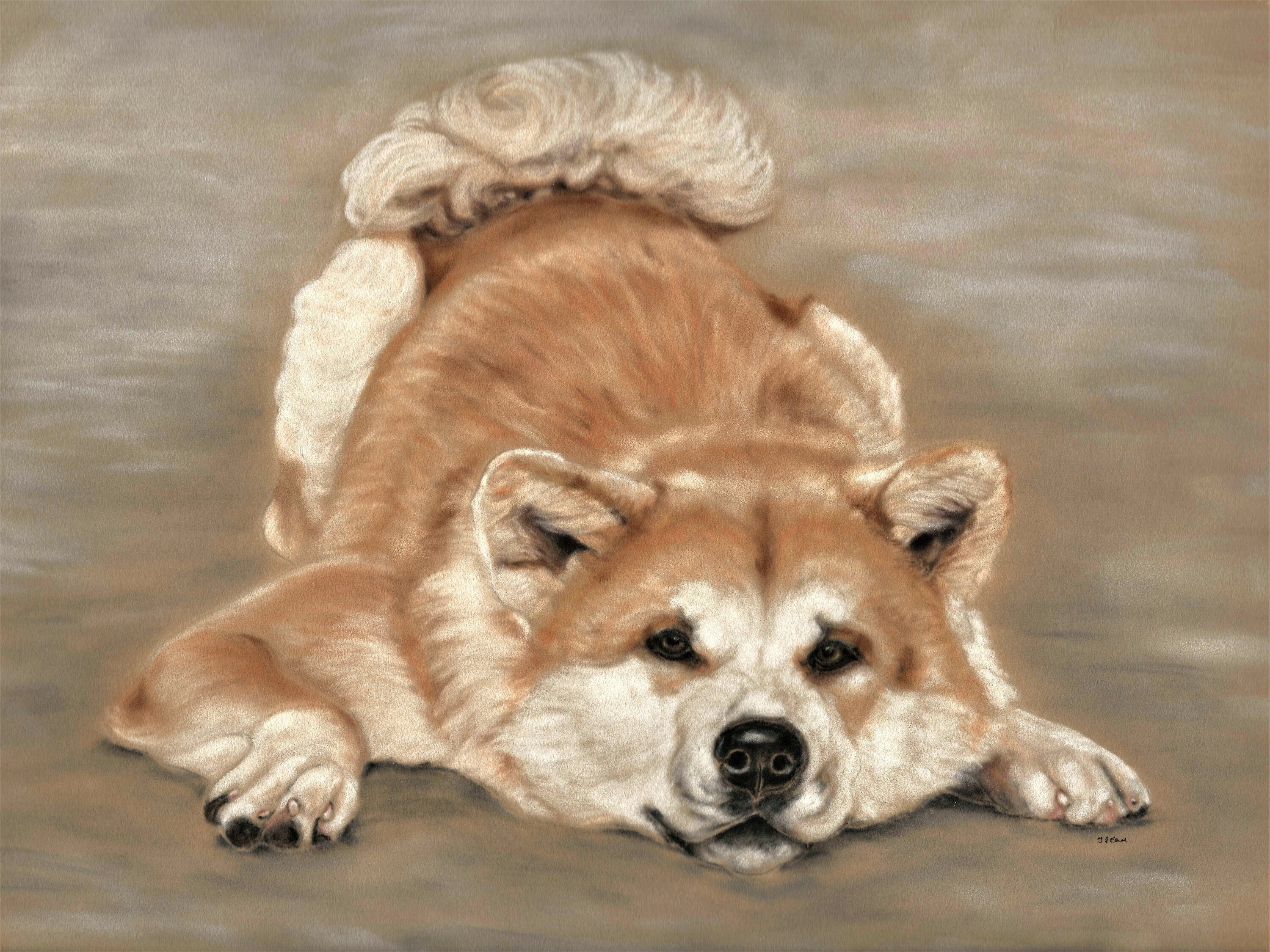 Shiba Inu Art Shiba Inu Gifts Shiba Inu Print Shiba Inu - Etsy UK