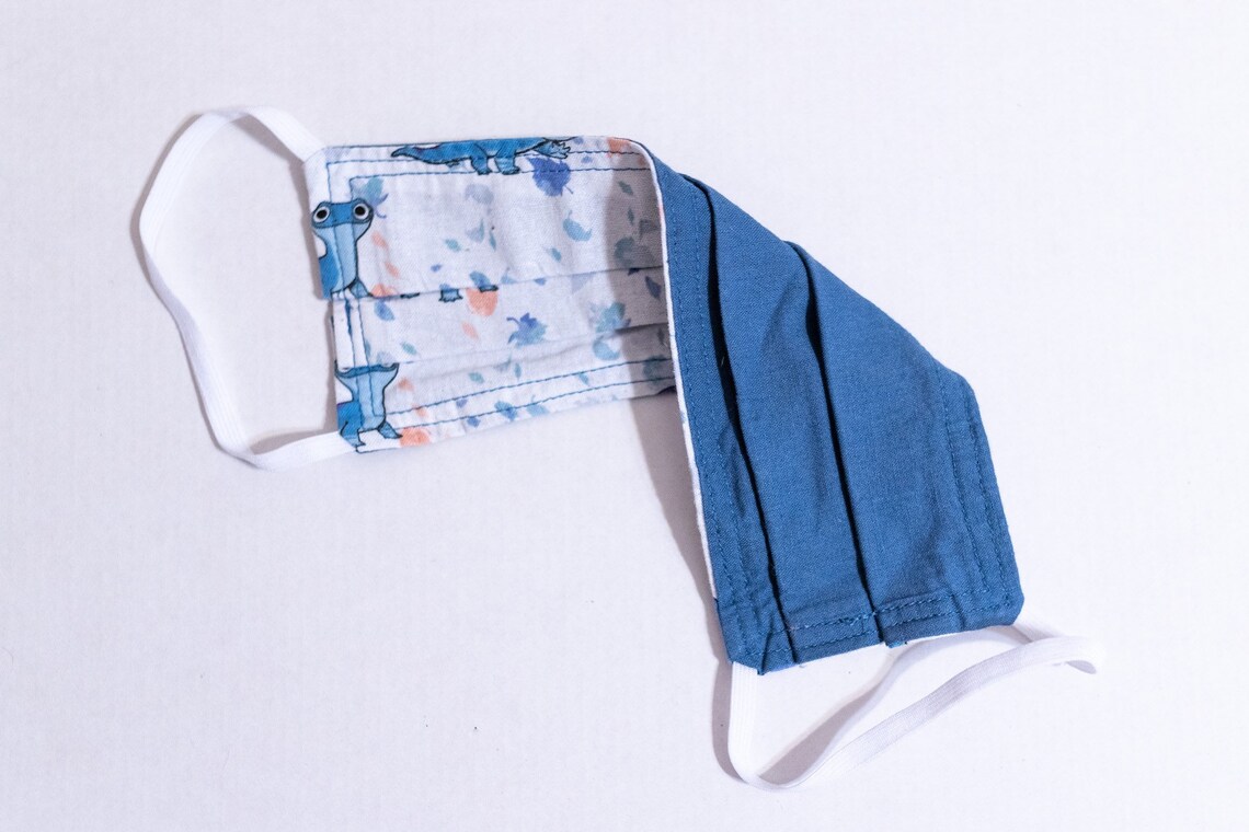 Frozen 2 Bruni the Salamander and Blue Reversible Adult Cotton | Etsy