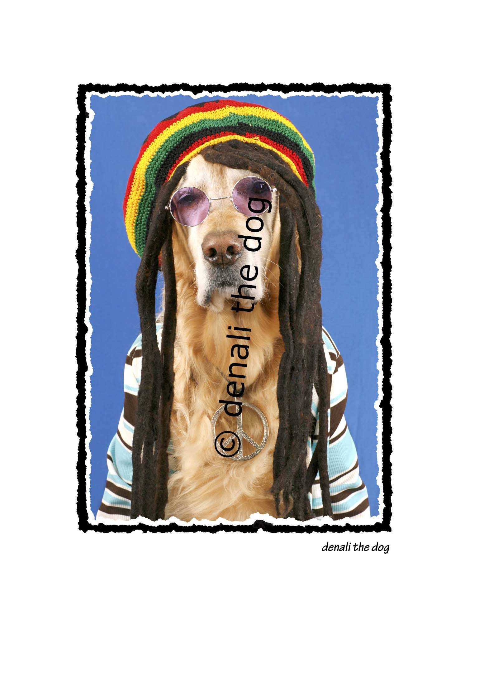 Bob Marley Dog