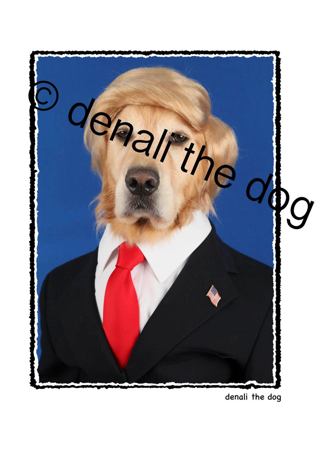 Donald Trump, Donald Trump Card,donald Trump Happy Birthday Card ...