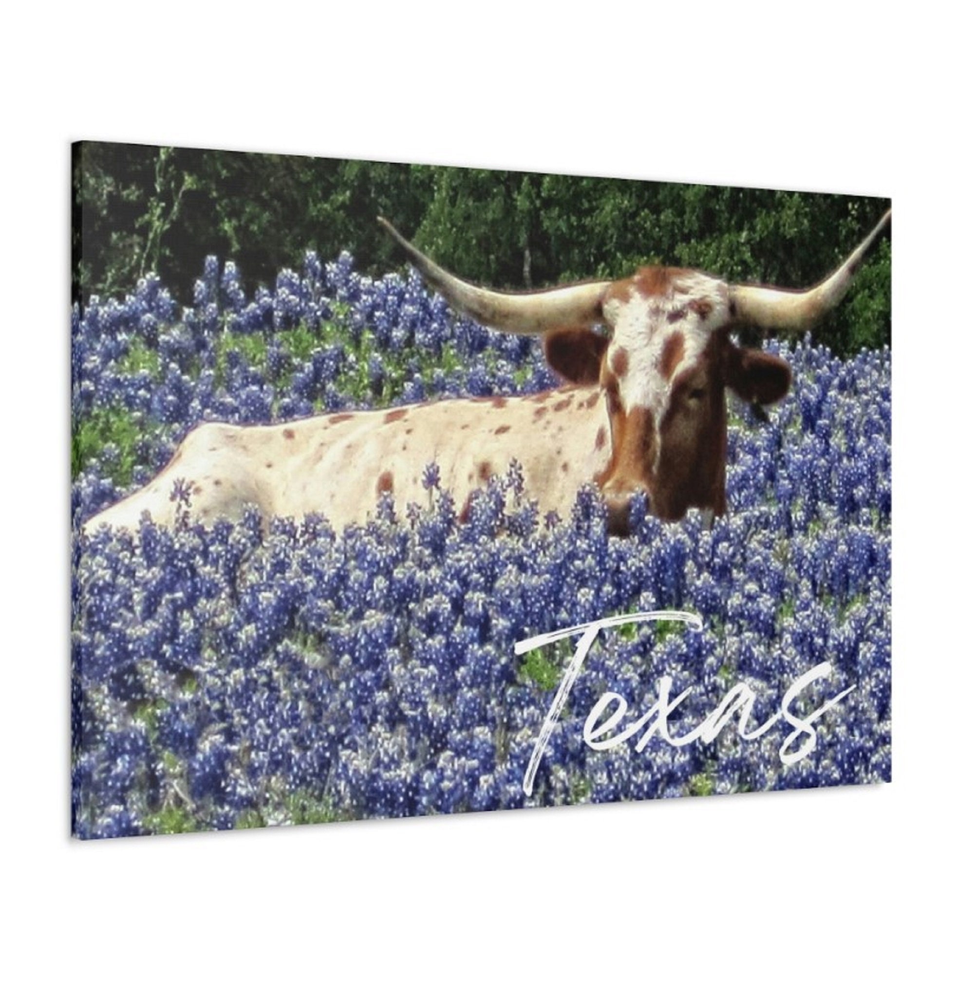 Texas Longhorn Bluebells Nature Flowers Pasture Farmhouse Farm Decor ...