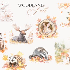 Watercolor Autumn Woodland Animals Clipart - Forest Animals Clipart ...