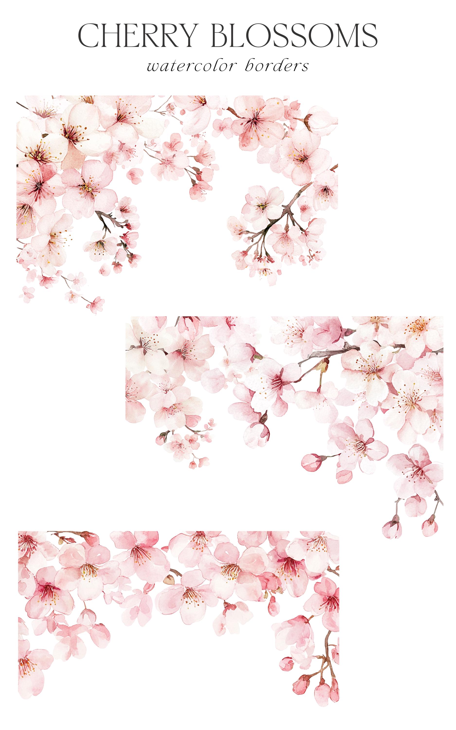 Watercolor Cherry Blossoms - Cherry Blossoms Clipart - Watercolor ...