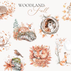 Watercolor Autumn Woodland Animals Clipart - Forest Animals Clipart ...