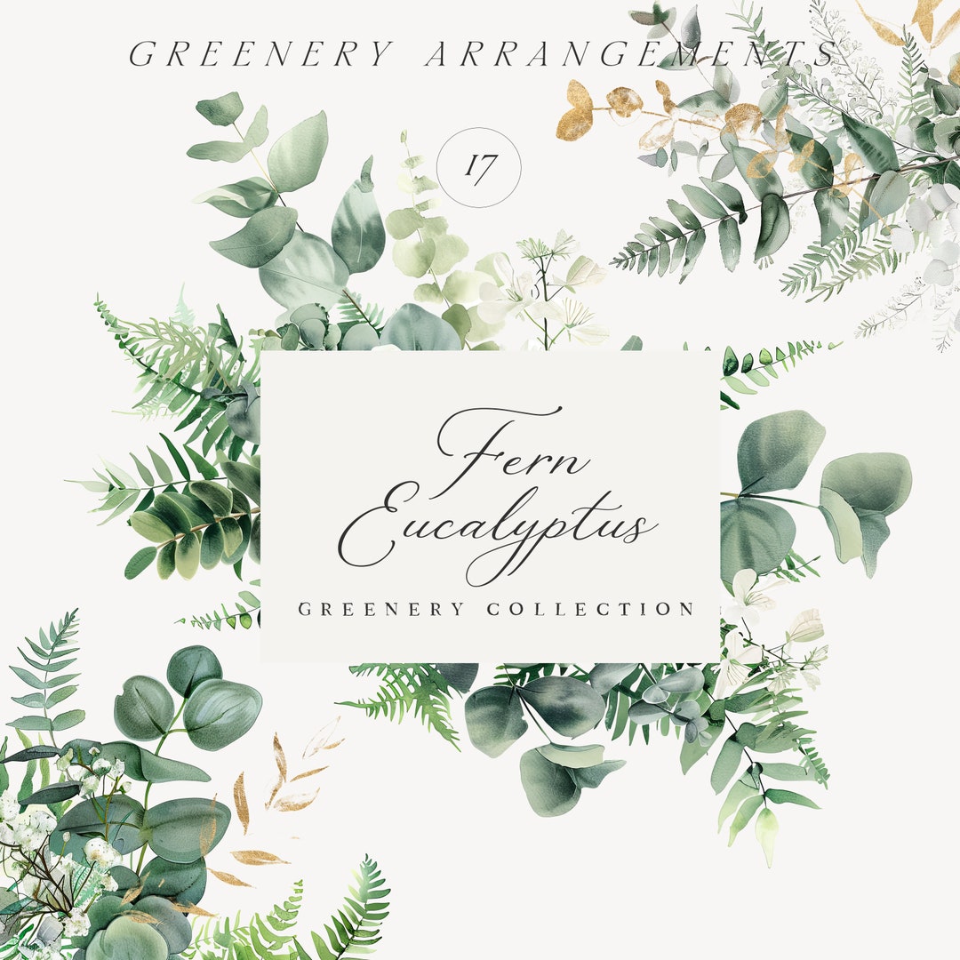 Greenery Watercolor Clipart - Eucalyptus Clipart - Greenery Elements ...