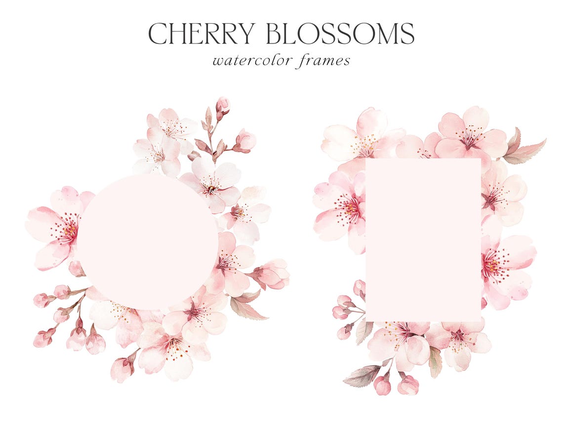 Watercolor Cherry Blossoms - Cherry Blossoms Clipart - Watercolor ...