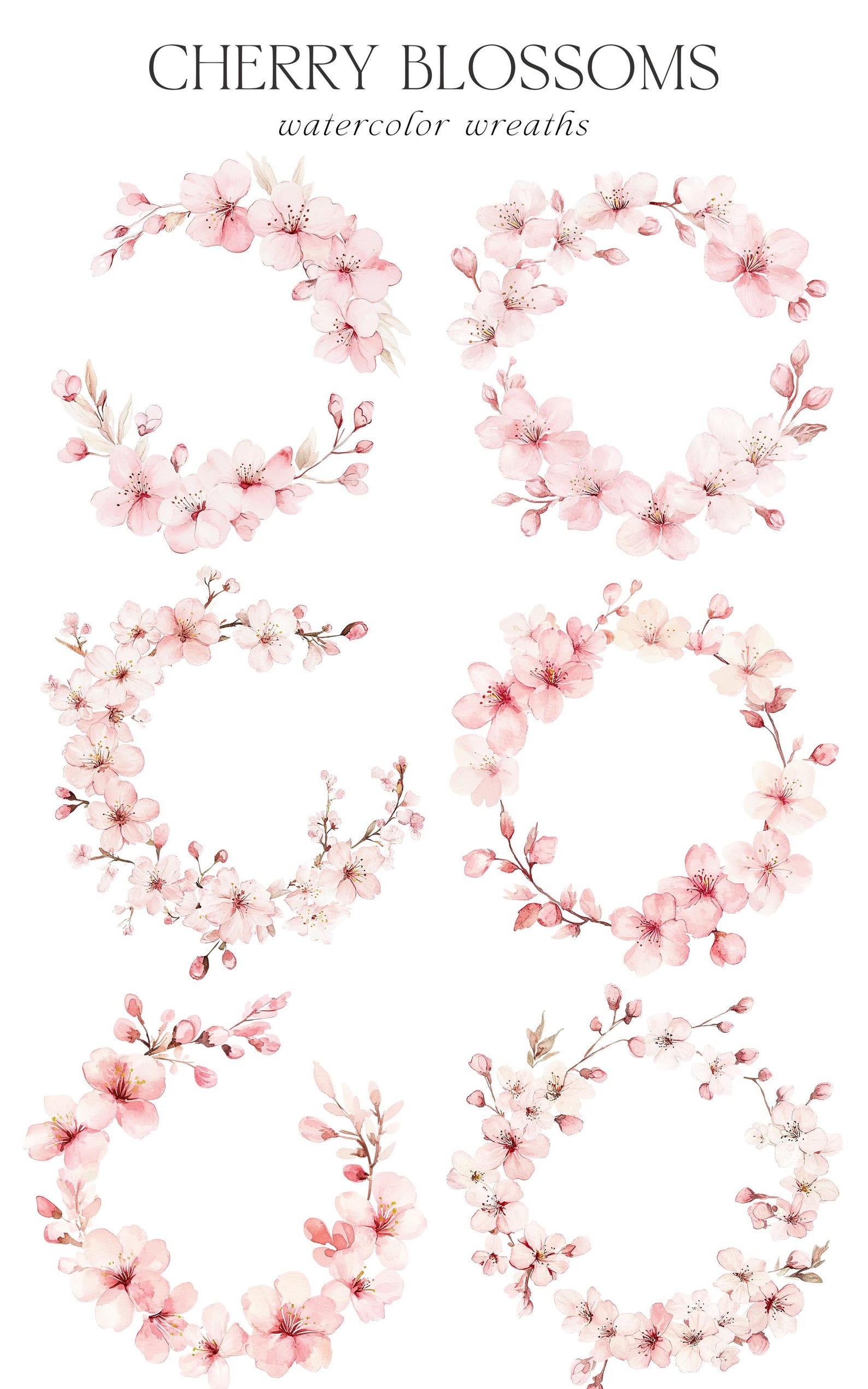 Watercolor Cherry Blossoms - Cherry Blossoms Clipart - Watercolor ...