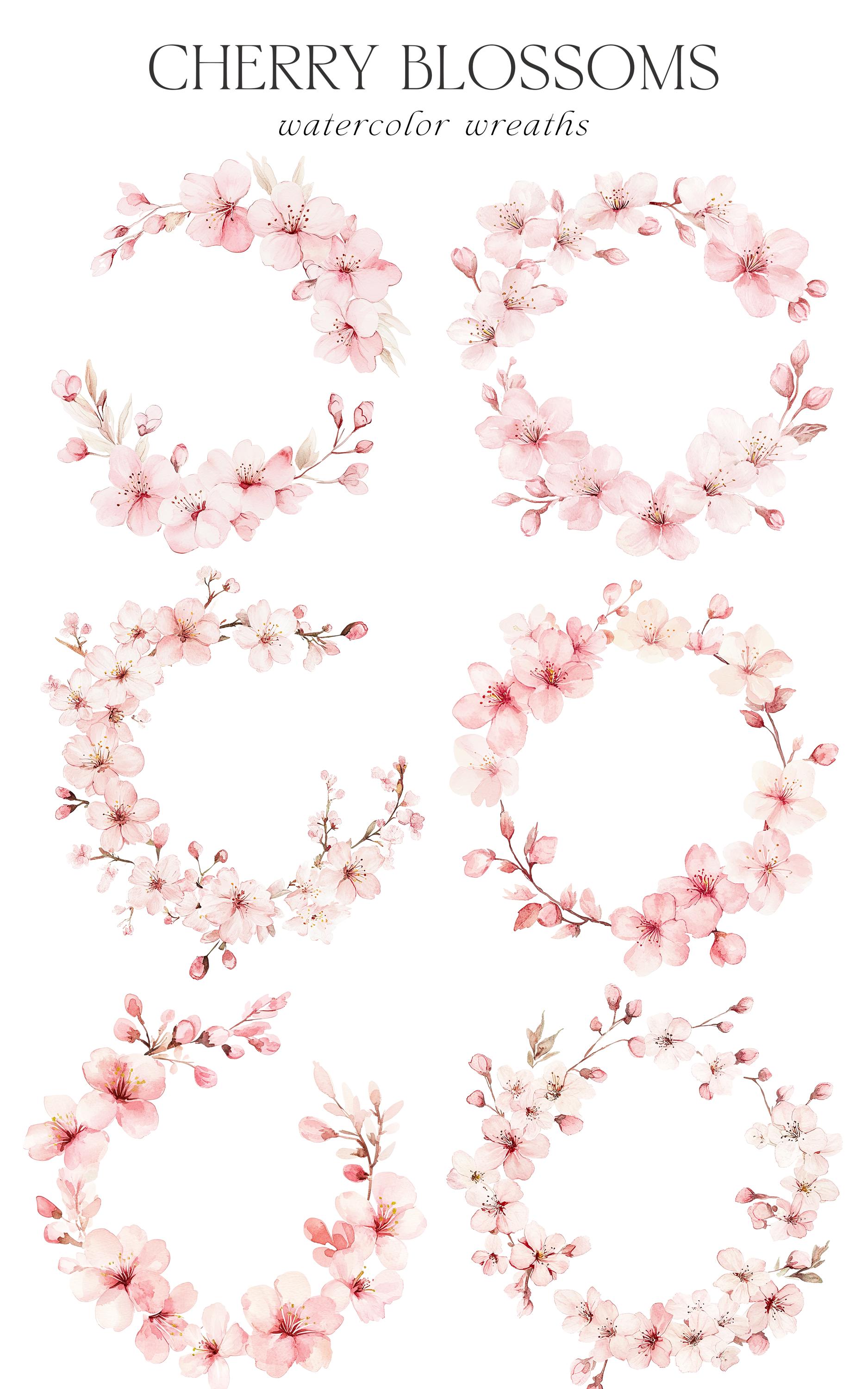 Watercolor Cherry Blossoms - Cherry Blossoms Clipart - Watercolor ...
