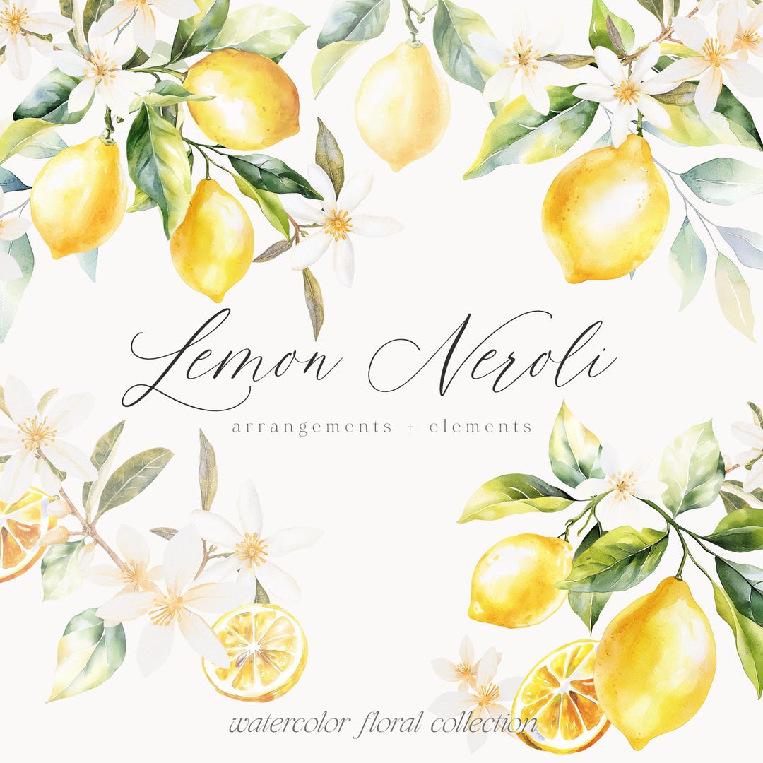 Watercolor Lemon Clipart - Lemon Clipart Set - Floral Clipart Set ...