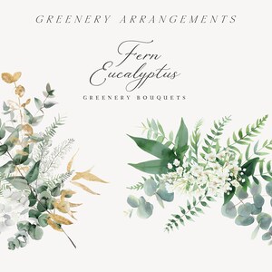Greenery Watercolor Clipart - Eucalyptus Clipart - Greenery Elements ...