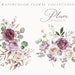 Watercolor Plum Floral Clipart - Plum Flowers - Floral Clipart ...