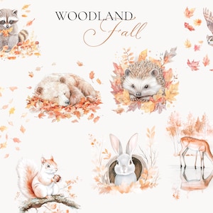 Watercolor Autumn Woodland Animals Clipart - Forest Animals Clipart ...