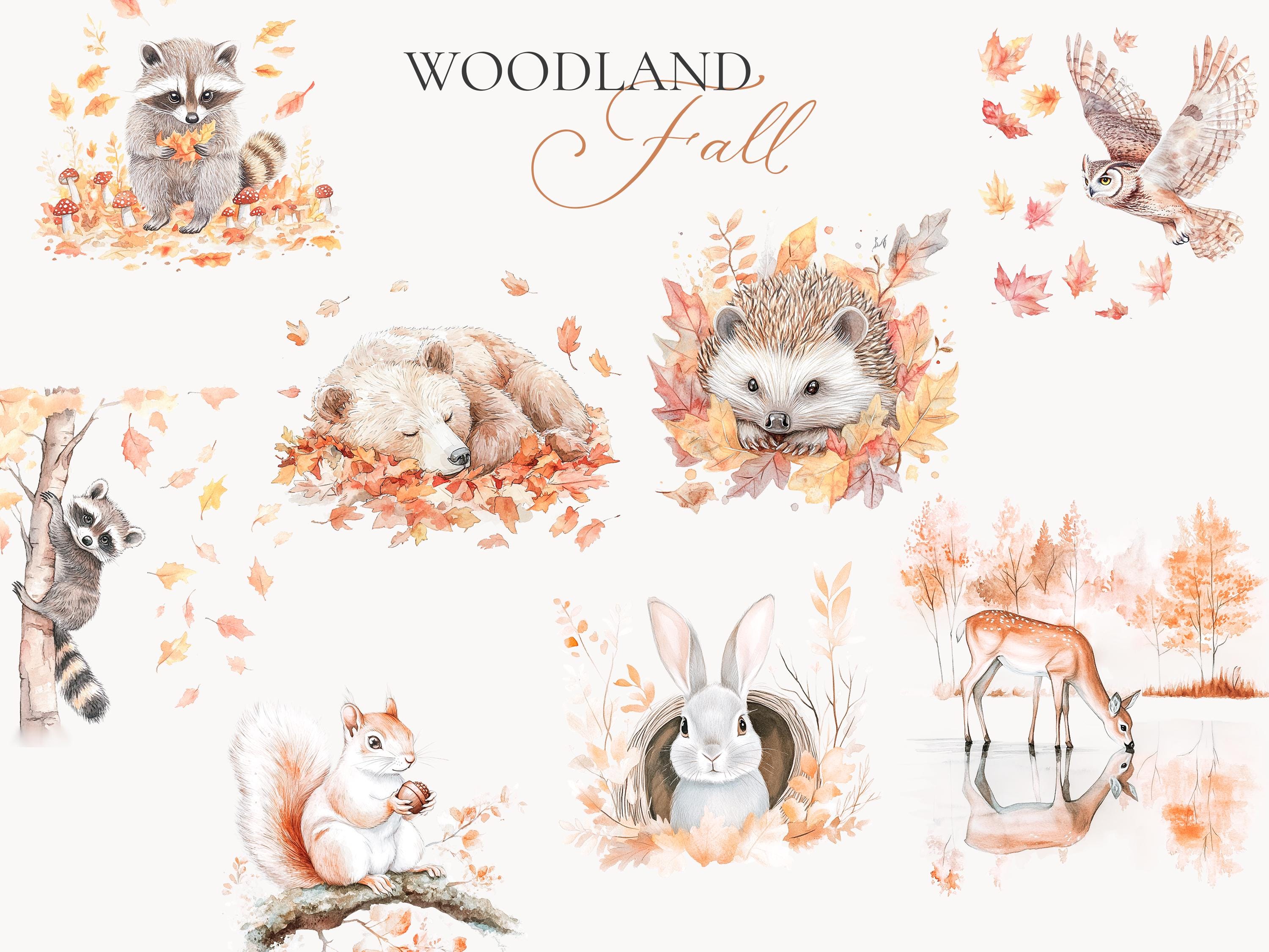 Watercolor Autumn Woodland Animals Clipart - Forest Animals Clipart ...