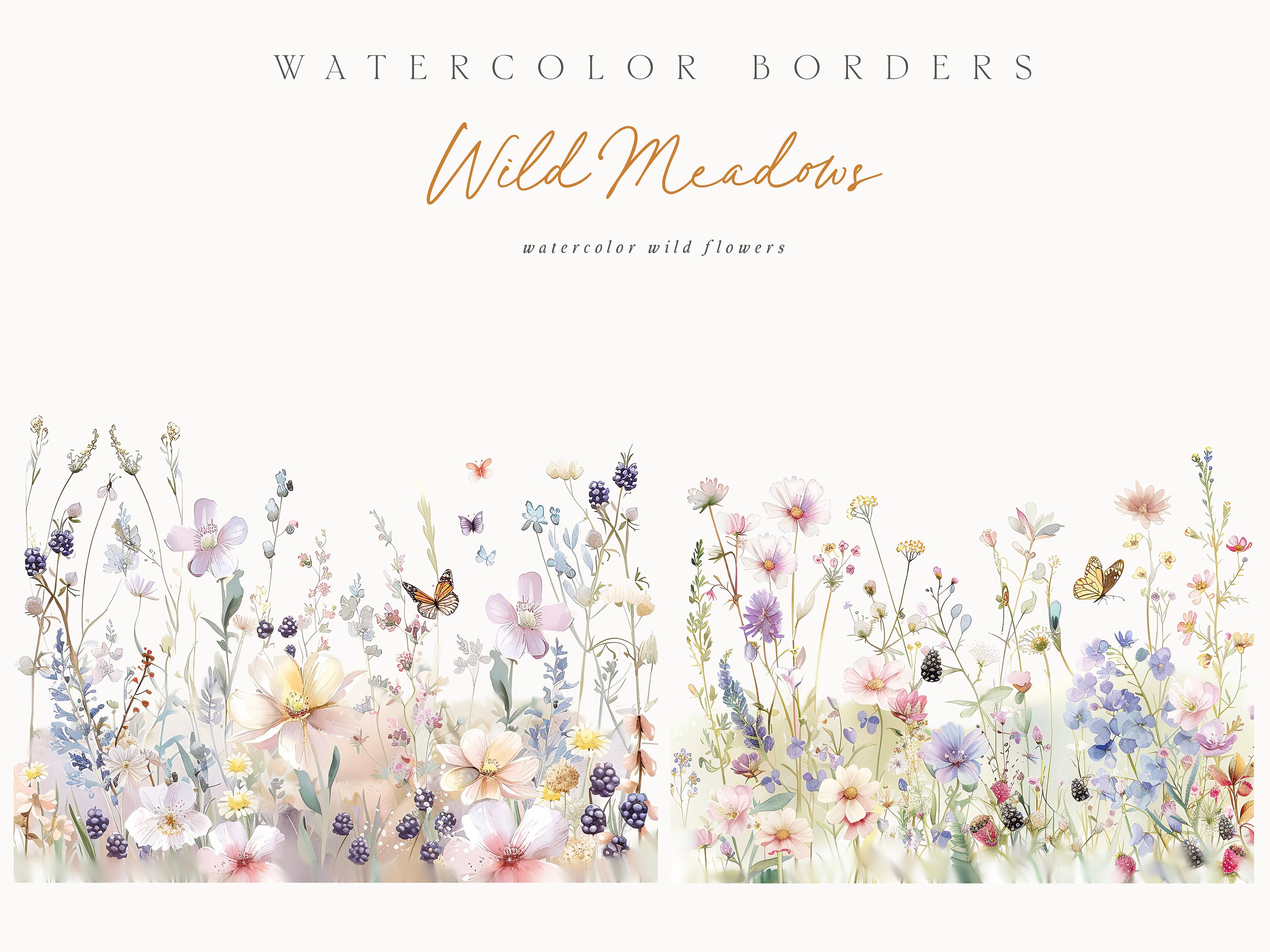 Watercolor Wild Floral Borders - Wild Flowers Borders - Wild Floral ...