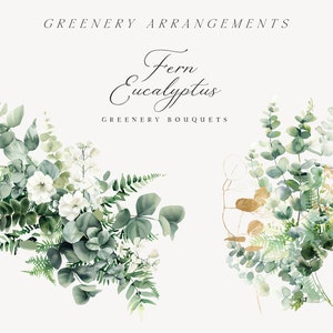 Greenery Watercolor Clipart - Eucalyptus Clipart - Greenery Elements ...