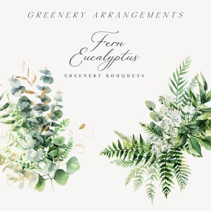 Greenery Watercolor Clipart - Eucalyptus Clipart - Greenery Elements ...