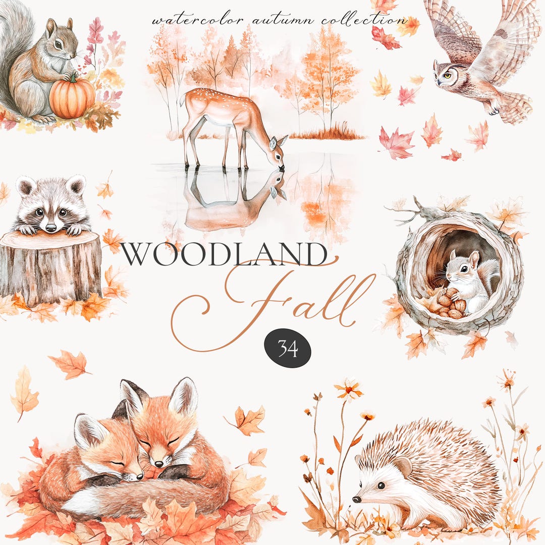 Watercolor Autumn Woodland Animals Clipart - Forest Animals Clipart ...