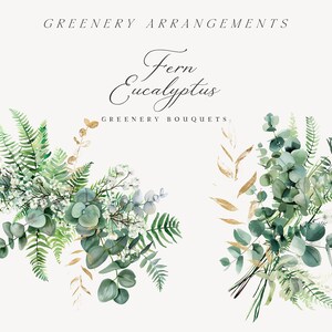Greenery Watercolor Clipart - Eucalyptus Clipart - Greenery Elements ...
