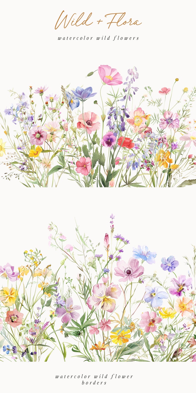 Watercolor Wild Flowers Clipart - Wild Floral Clipart - Watercolor ...