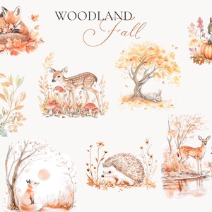 Watercolor Autumn Woodland Animals Clipart - Forest Animals Clipart ...