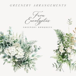 Greenery Watercolor Clipart - Eucalyptus Clipart - Greenery Elements ...