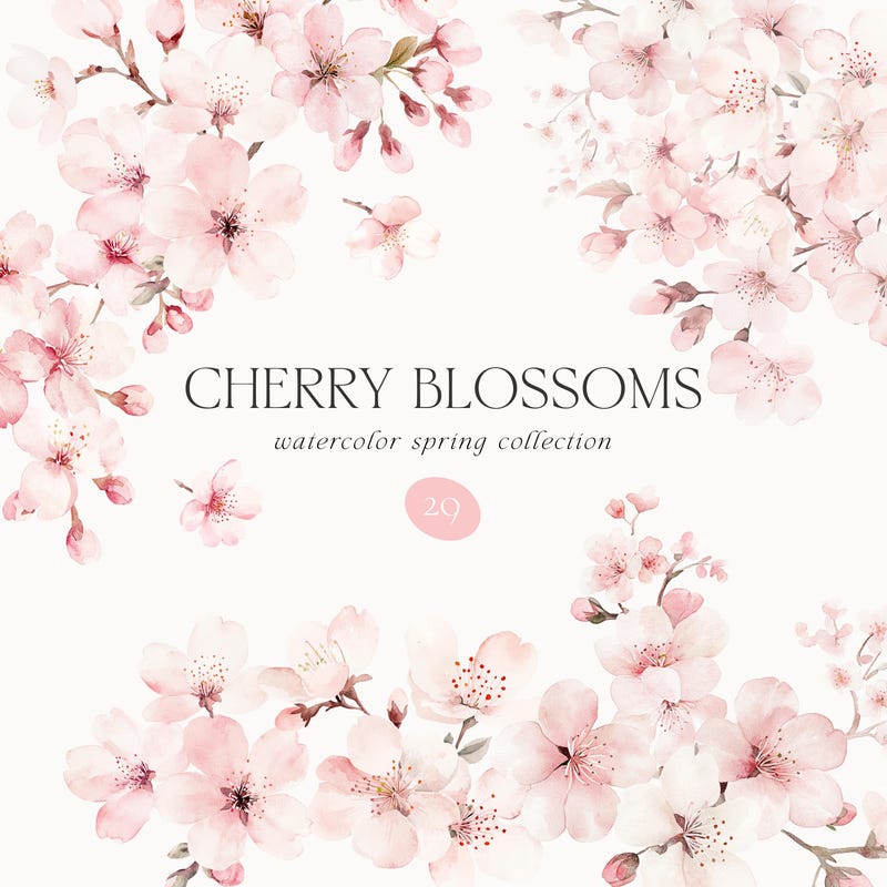Cherry Blossom Art - Etsy