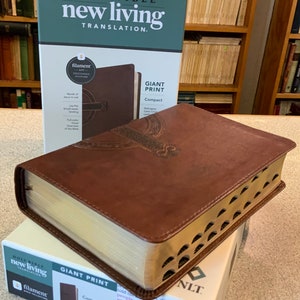 Personalized NLT Giant Print SMALL Compact Bible - Filament Ed ...
