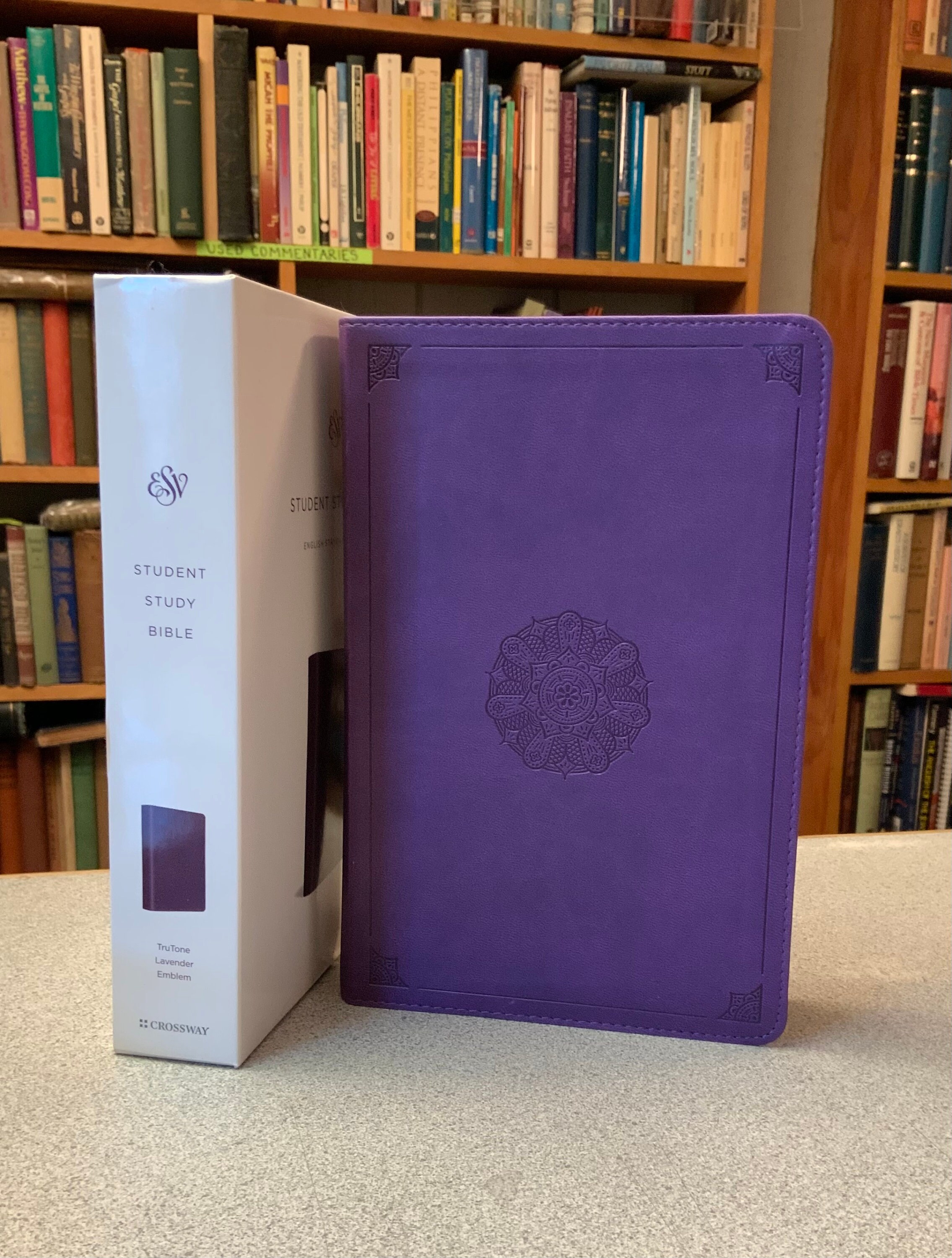 PERSONALIZED ESV Student STUDY Bible Sky Blue Purple | Etsy