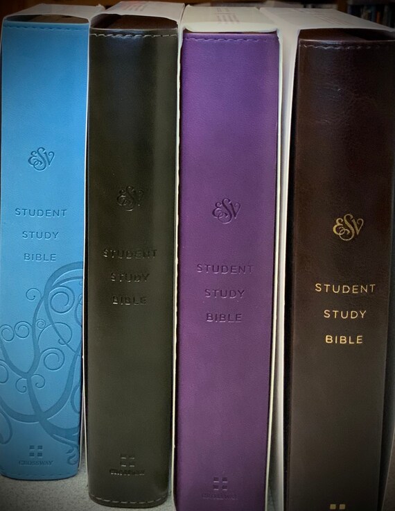 PERSONALIZED ESV Student STUDY Bible Sky Blue Purple | Etsy