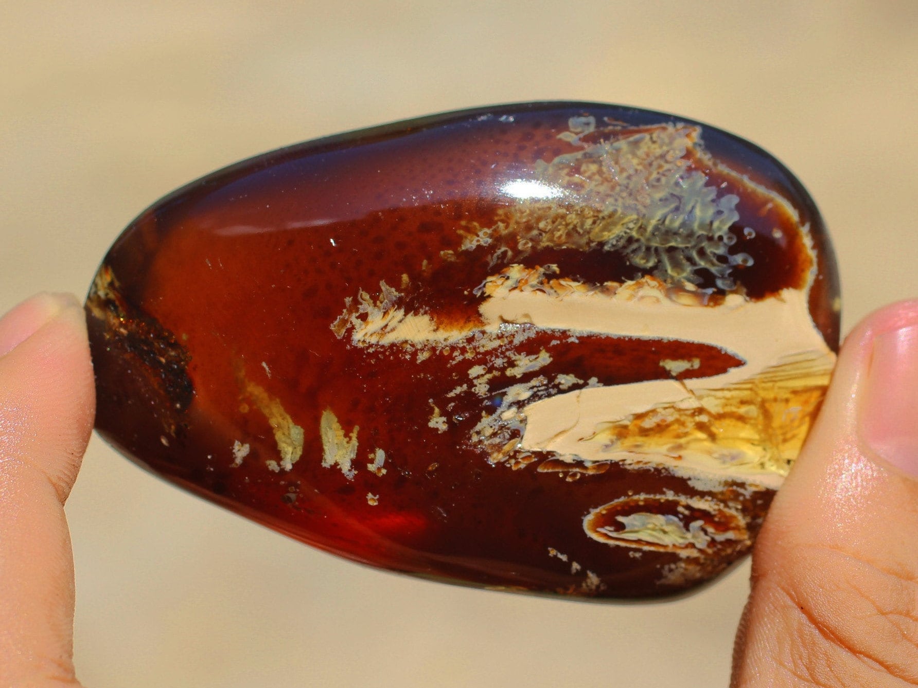 245 Cts Natural Indonesian Red Amber Polished Specimens | Etsy