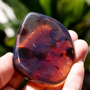 129cts Natural Indonesian Blue Amber Specimens - Etsy