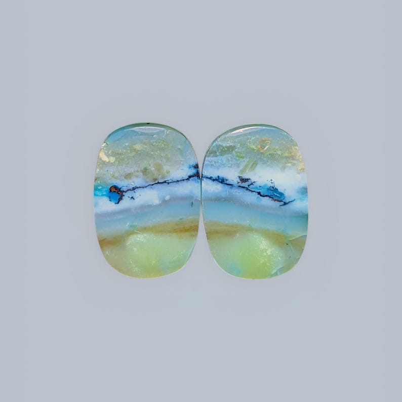 Blue Opalized Petrified Wood Earring Pair: Indonesian Gemstone Jewelry ...
