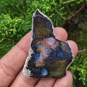 Blue Opal Wood Multicolour Specimen Slab Polished Rare Mineral - Etsy