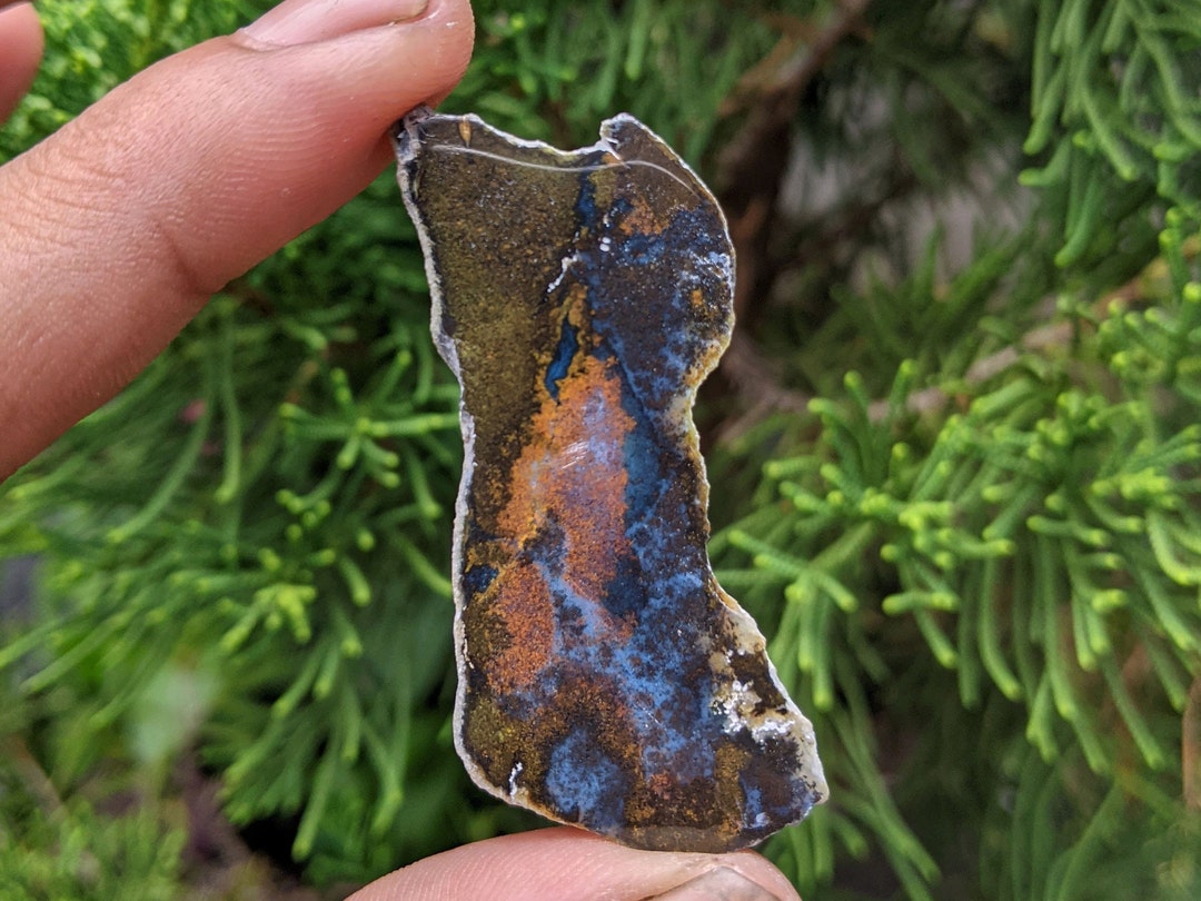 Blue Opal Wood Multicolour Specimen Slab Polished Rare Mineral - Etsy