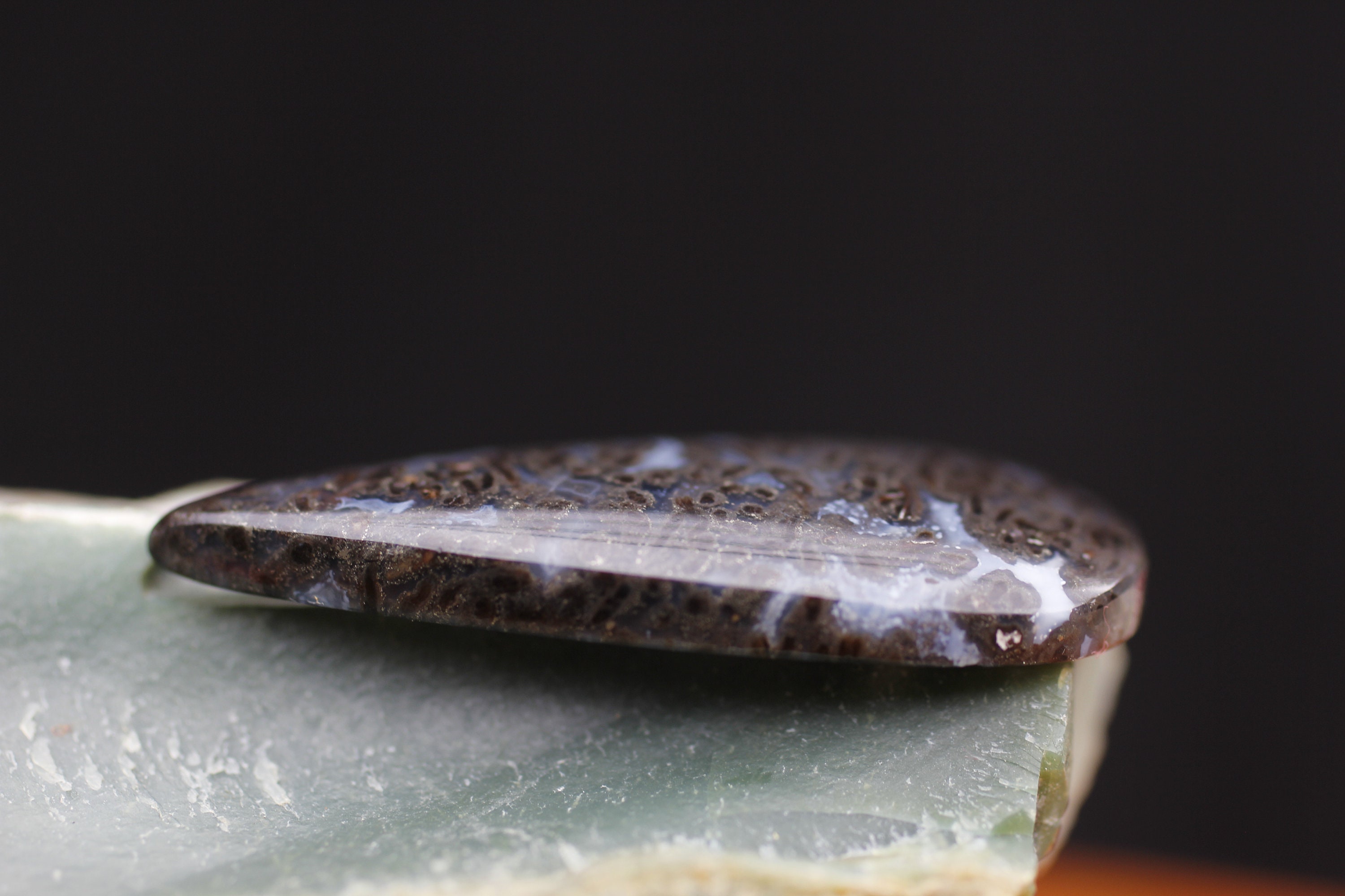 Fossilized Palm Root With Dendritic Cabochon - Etsy UK