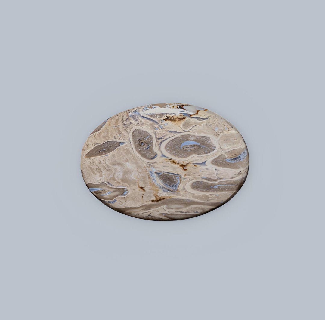 Timeless Elegance Fossilized Palm Root Gemstone ,indonesia Fossilized ...