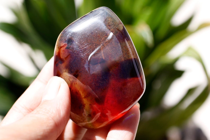 129cts Natural Indonesian Blue Amber Specimens | Etsy