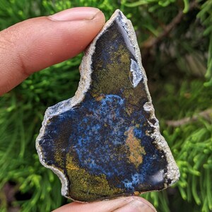 Blue Opal Wood Multicolour Specimen Slab Polished Rare Mineral - Etsy