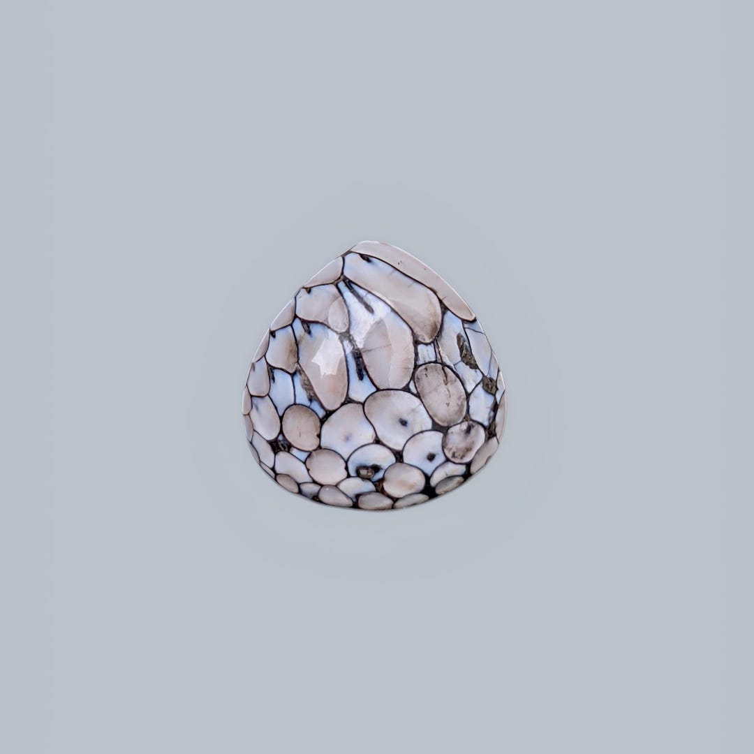 Wrasse Snake Skin Stone Fossilized Loose Gemstone Cabochon - Etsy