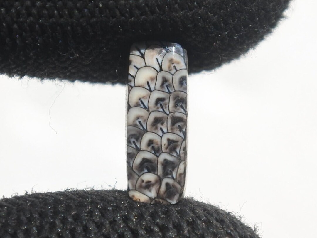 Snakeskin Stone Gemstone, Fossilized Indonesia Gem, Loose Jewelry Stone ...