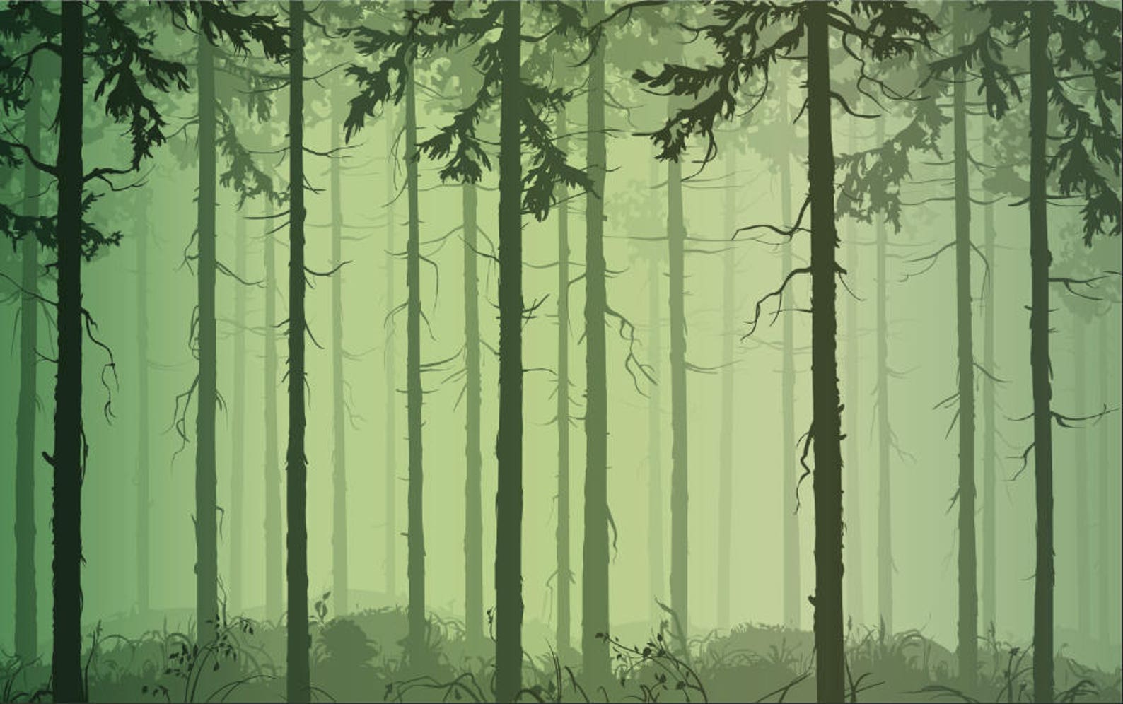 Green Forest Wallpaper | Self Adhesive Wallpaper, Removable Wallpaper ...