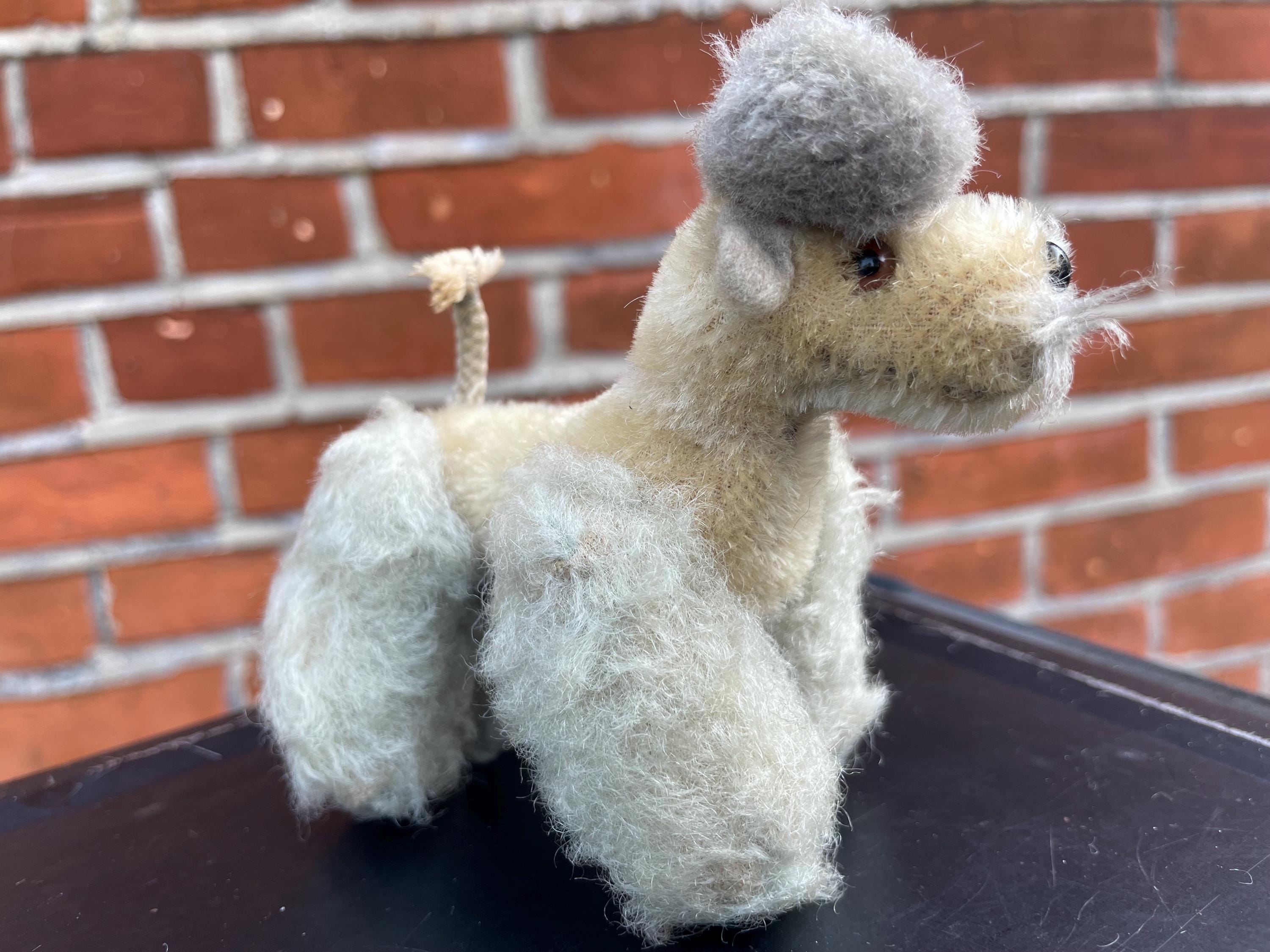Steiff Snobby Poodle Dog Vintage 1950s Mohair - Etsy