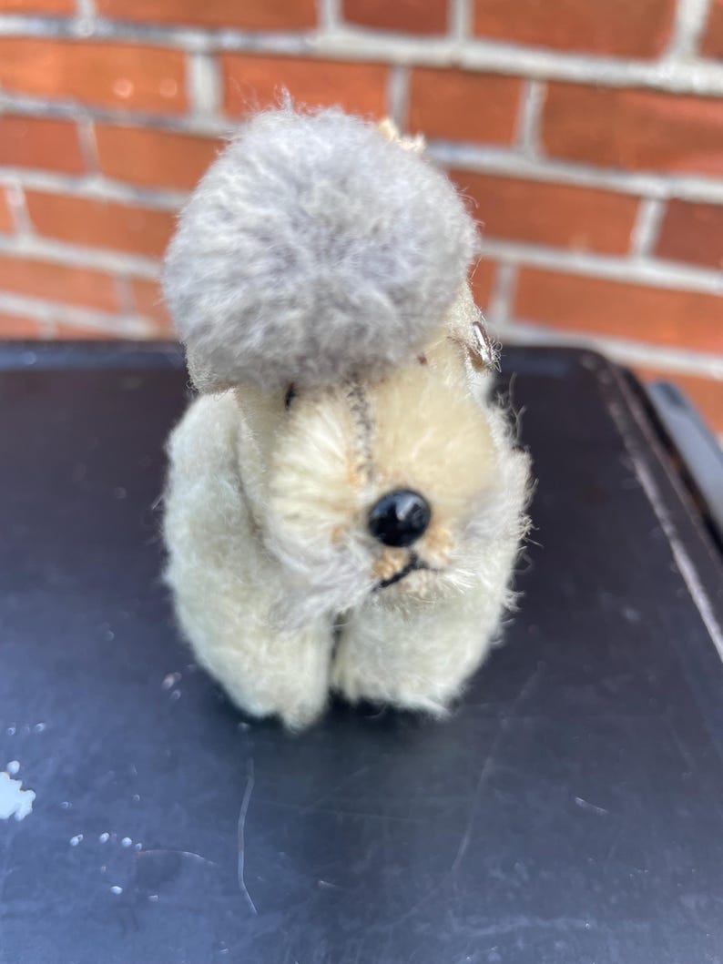 Steiff Snobby Poodle Dog Vintage 1950s Mohair - Etsy